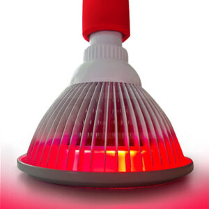 Red Light Device Mini - Red Light Man