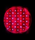 Infrared light device - Red Light Man