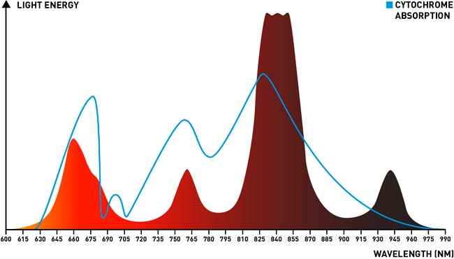 Infrared light device - Red Light Man