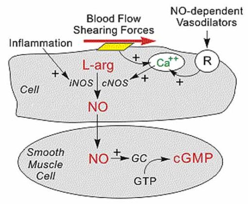 Red Light and Erectile Dysfunction - Red Light Man