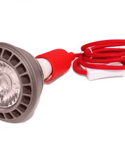 Red light therapy revolutionary for oral health - Red Light Man
