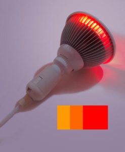 Red Light Device Mini - Red Light Man