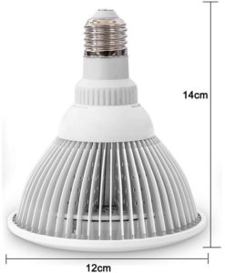 Red Light Mini Therapy Device 660nm / 670nm - Red Light Man