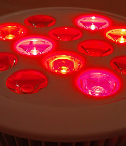 Red Light Man • Light Therapy Products & Information