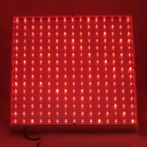 Red Light Doubles Vermicompost Production - Red Light Man