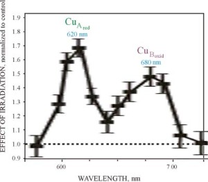 Red Light Therapy - Red Light Man