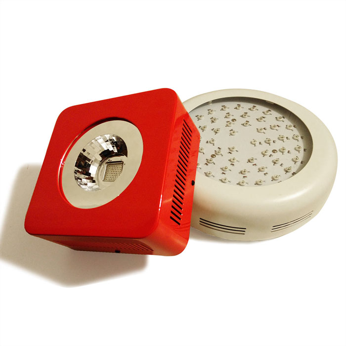 Ultimate Light Therapy Bundle - Red Light Man